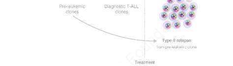 Schematic Representation Of Clonal Evolution During The Development Of Download Scientific