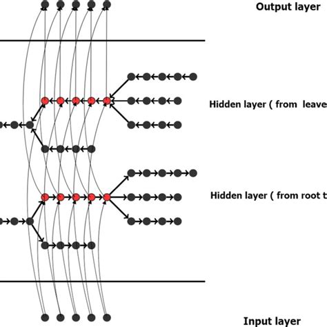 A Tree Based Blstm Network With One Hidden Level We Only Draw The Full Download Scientific