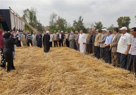 الزراعة تنفذ يوم حصاد لمحصول القمح بمحافظة الشرقية زراعة مصر الأرض