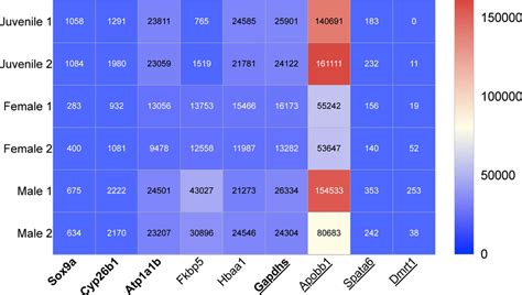 Frontiers Sex Blind Bridging The Gap Between Drug Exposure And Sex Related Gene Expression In