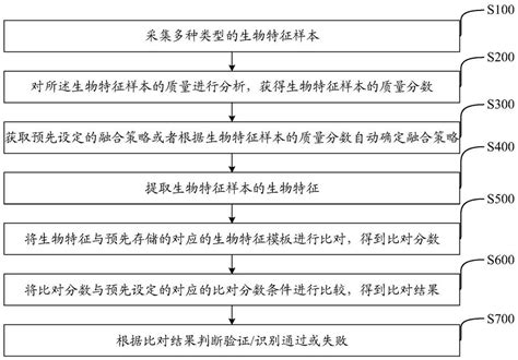 Biological Feature Recognition Multi Modal Fusion Method And Device Storage Medium And