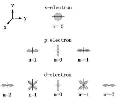 The Angular Distribution Of The Electron Cloud And The Proton Cloud Of