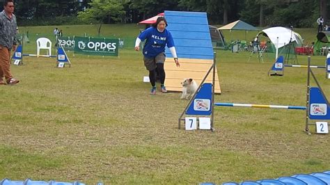 STC FC 動画