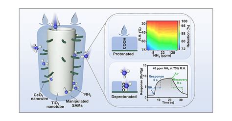 Customizing Wettability Of Defect Rich Ceo2 Tio2 Nanotube Arrays For Humidity Resistant