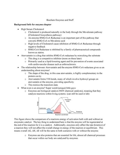 4 Biochemistry Enzymes Warning Tt Undefined Function 32 Biochem Enzymes And Stuff