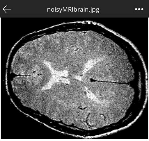 Solved Questions 1 What Is The Difference Between Binary
