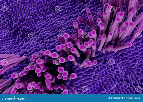 Structure Of Tendon Infographics Vector Illustration On Isolated
