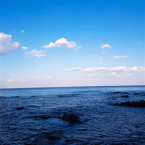 에겐남 Vs 테토남 요즘 Z세대 뜨겁게 빠진 ‘호르몬 남자 유형 분석 총정리