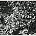 The Vulture 1966 Imdb