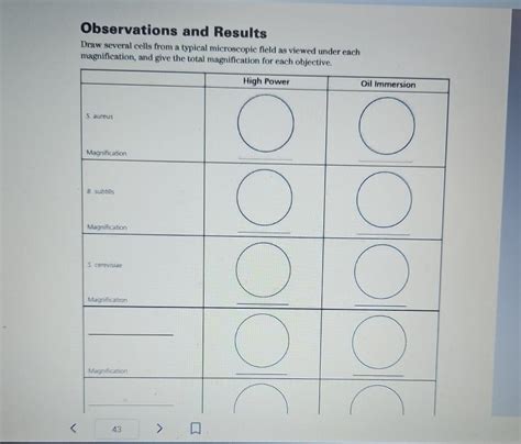 Solved Observations And Resultsdraw Several Cells From A