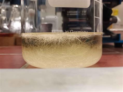 Anisic Acid Made By Oxidation Of Anisaldehyde R Chemistry