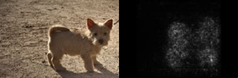 Figure 1 From Is Task Agnostic Explainable Ai A Myth Semantic Scholar