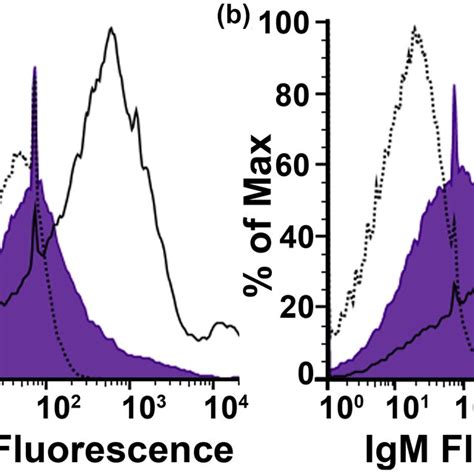 Classical Complement Activation Occurs Through Igm Recognition Of
