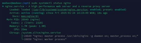 Cara Install Modsecurity Di Nginx Owasp Crs Di Ubuntu Server