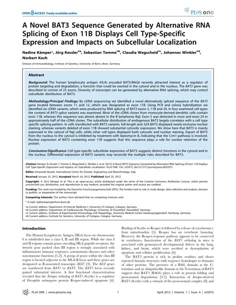 Pdf A Novel Bat3 Sequence Generated By Alternative Rna Splicing Of