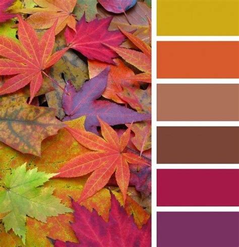 Los Colores Del Otoño Una Explosión De Belleza Natural
