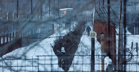 Temperaturas extremas condiciones inhumanas y torturas cómo es Lobo Polar el gulag