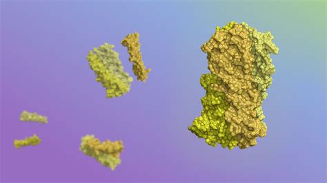 tunable ph dependent assemblies baker lab