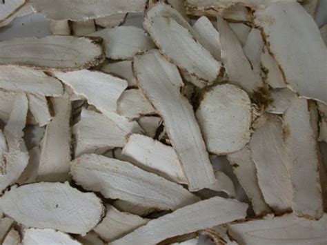 Hạt Giống Bạch Chỉ 100gr Vua Hạt Giống