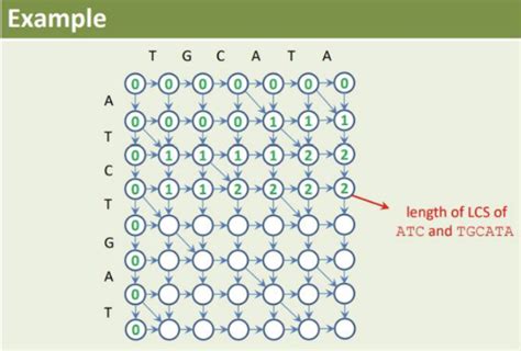 Dynamic Programming Algorithms