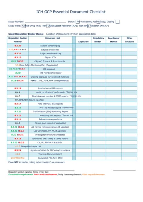 Gcp Audit Plan Template