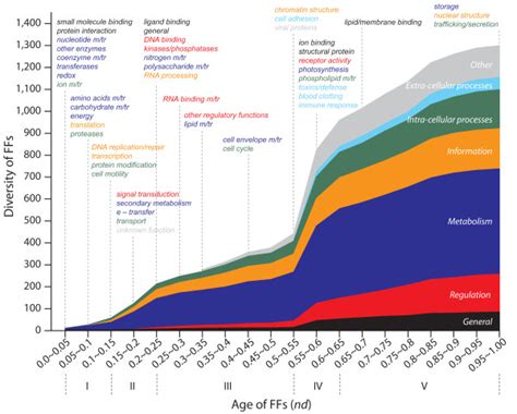 Emergence And Evolution Of Molecular Functions Along The Timeline The Download Scientific