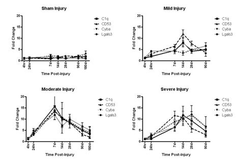 Graphical Representation Of The Expression Of The Delayed Expression Download Scientific