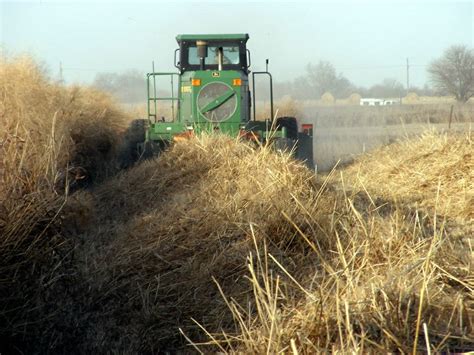 Harvest Switchgrass Being Harvested Cenusa Bioenergy Flickr