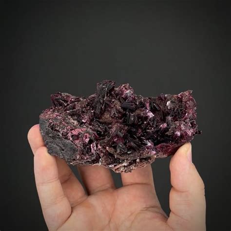 Dr Erika Pohl Collection Auction