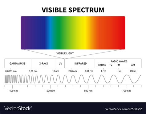 Visible Light Diagram Color Electromagnetic Vector Image