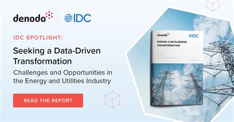 Seeking A Data Driven Transformation Denodo