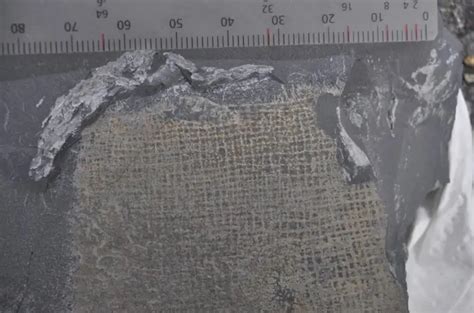 Fossil News University College Cork Fossil News University College Cork