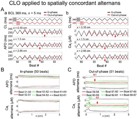 Cycle Length Oscillation Applied During Spatially Concordant Alternans
