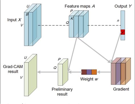 Figure 2 From Improve The Deep Learning Models In Forestry Based On