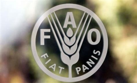 Рязко поевтиняване на храните и петролен ценови спад отчита ООН Cross Bg