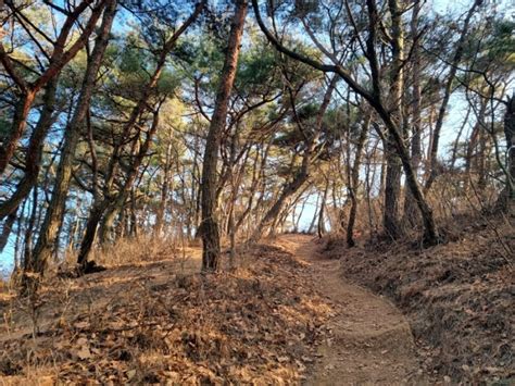 등린이 울산 무룡산 등산 화동못 수변공원 정말 힘듦 풍경맛집 네이버 블로그