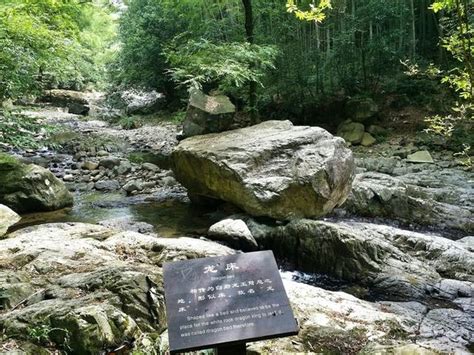 旅遊日記帶娃嬉水的好地方浙東小九寨 每日頭條