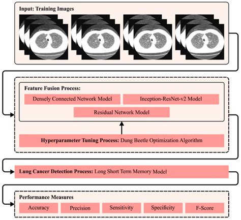 Dung Beetle Optimization With Deep Feature Fusion Model For Lung Cancer