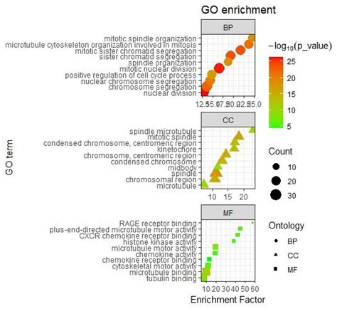 R语言clusterprofiler包go富集分析（enrichplot包、goplot包和ggplot2绘图） 知乎
