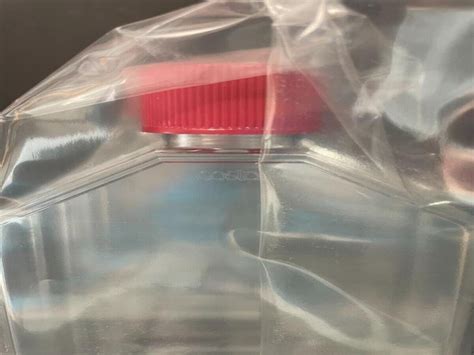 Corning 3151 Culture Flask 162cm2 175ml Vented Cap Sterile Case Of 25 — Life Sciences Trading