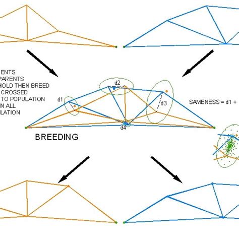 An Example Of Geometry Breeding Using Half Uniform Crossover Download Scientific Diagram