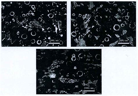 Effect Of Wall Thickness On Graphite Morphology Of Nodular Cast Iron Zhy Casting