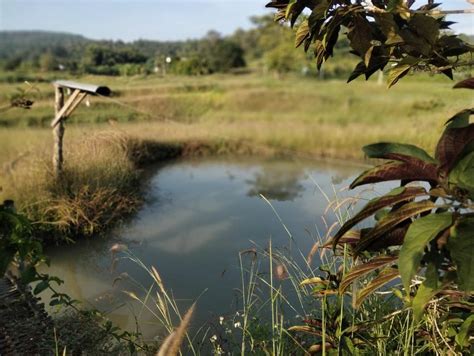 ขายที่เนิน ติดน้ำ วิวสวย เอกสารสิทธิ์โฉนด พร้อมบ้านสวน 1 หลัง ไร่ละห้าแสนห้าหมื่นบาท Ennxo