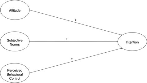 Schematic Representation Of Tpb Model Relations Adapted From Ajzen 1991 Download Scientific