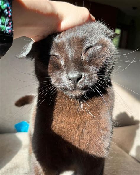 ммв ИННц ИН[ ВИ И И Я дСИ «« C Jkmn № ‘ №Ü Ю ¿Ш — •МД Jj Ess V р ¿¿ ЭД T