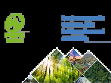 Pefc Forest Forum Pefc Programme For The Endorsement Of Forest