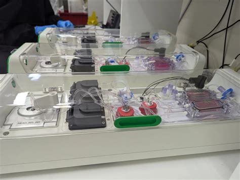 Cortical Labs Unveils Cl1 The Worlds First Biological Computer Using Living Human Brain Cells