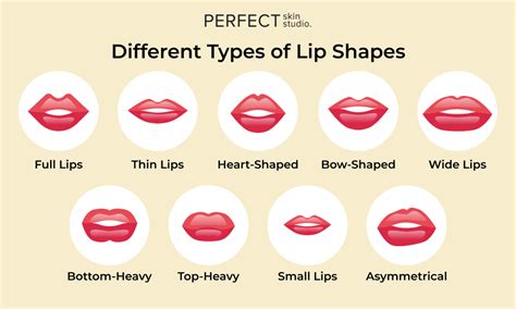 Different Types Of Lip Shapes And How To Find Yours