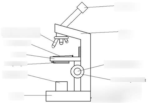 Microscope Quiz Diagram Quizlet