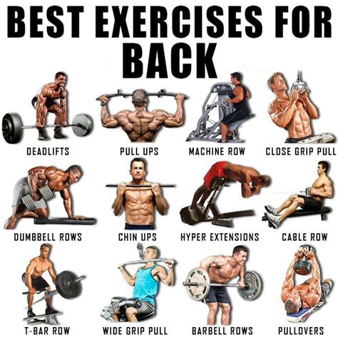 Exercises To Build Lower Body Strength Amazing Bodybuilding